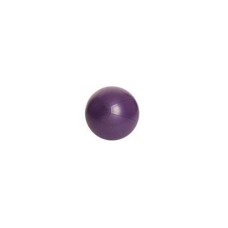 Studio Pro 500kg Swiss Ball & Pump 55cm only £25.00